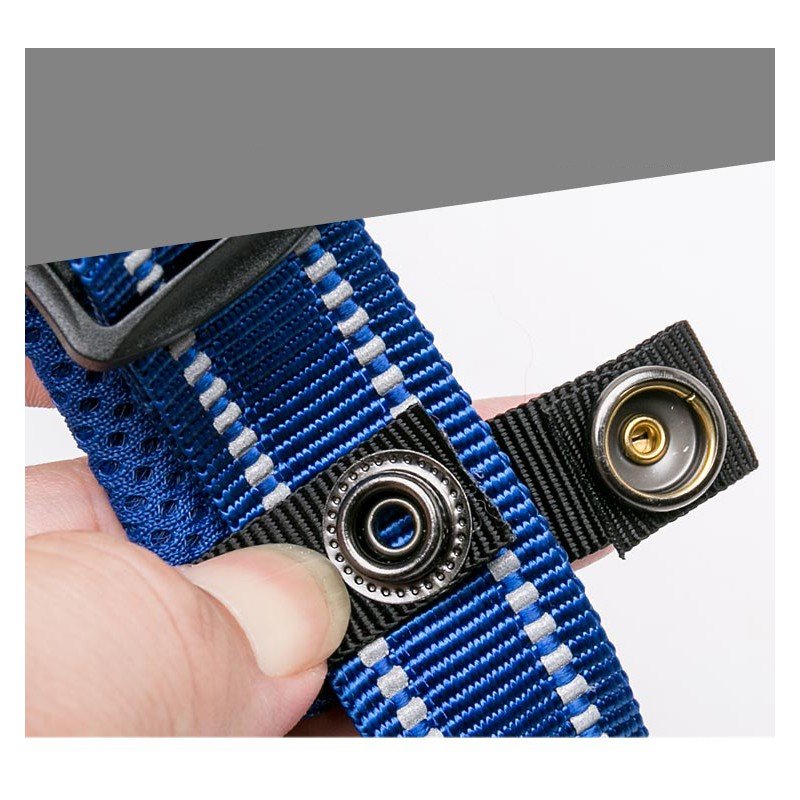 Truelove Flex comfort dog collar