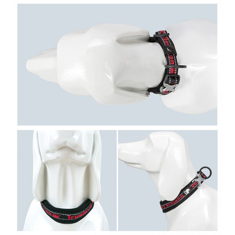 Truelove Flex + - top of the range dog collar