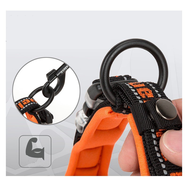 Truelove Flex + - top of the range dog collar