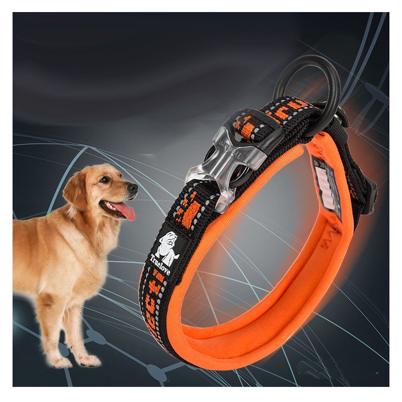 Truelove Flex + - top of the range dog collar