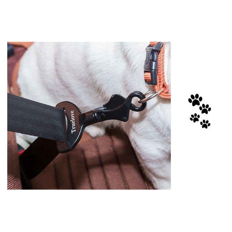 System for attaching your dog's harness to the vehicles safety belt.